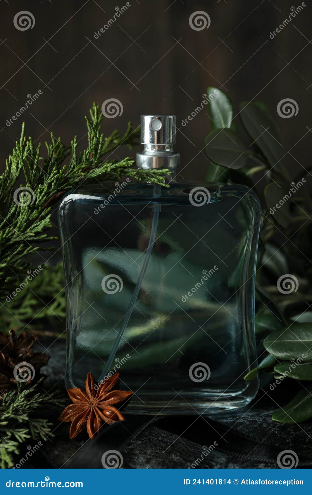 Concept of Fragrant Flavored Perfume, Close Up Stock Photo - Image of ...