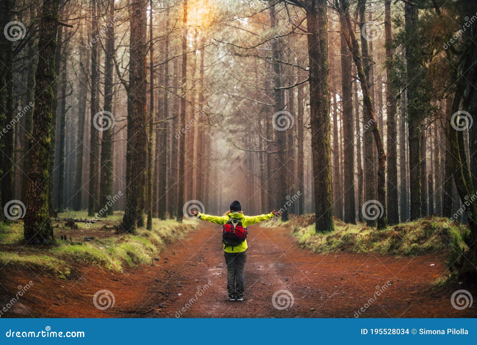 Concept of Freedom and Exploring the World - No Deforestation Message ...