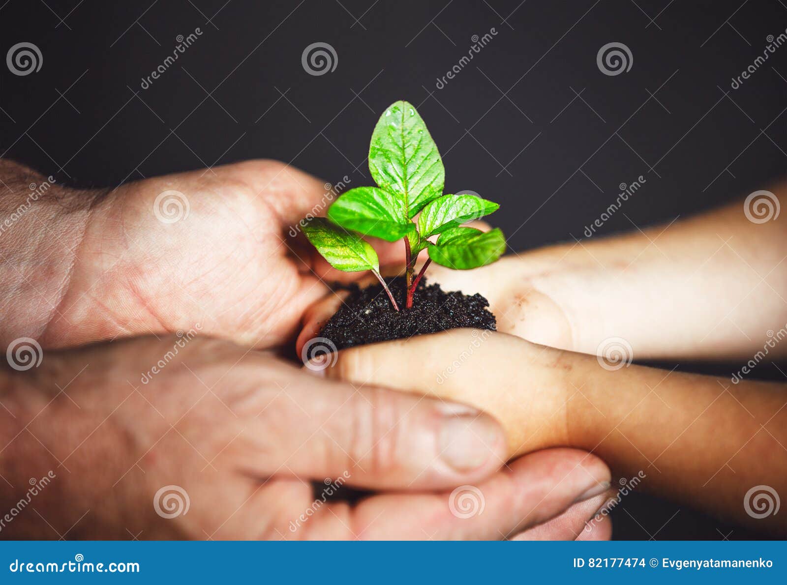 Concept Generation and Development. Elderly Man and Baby Holding Stock ...