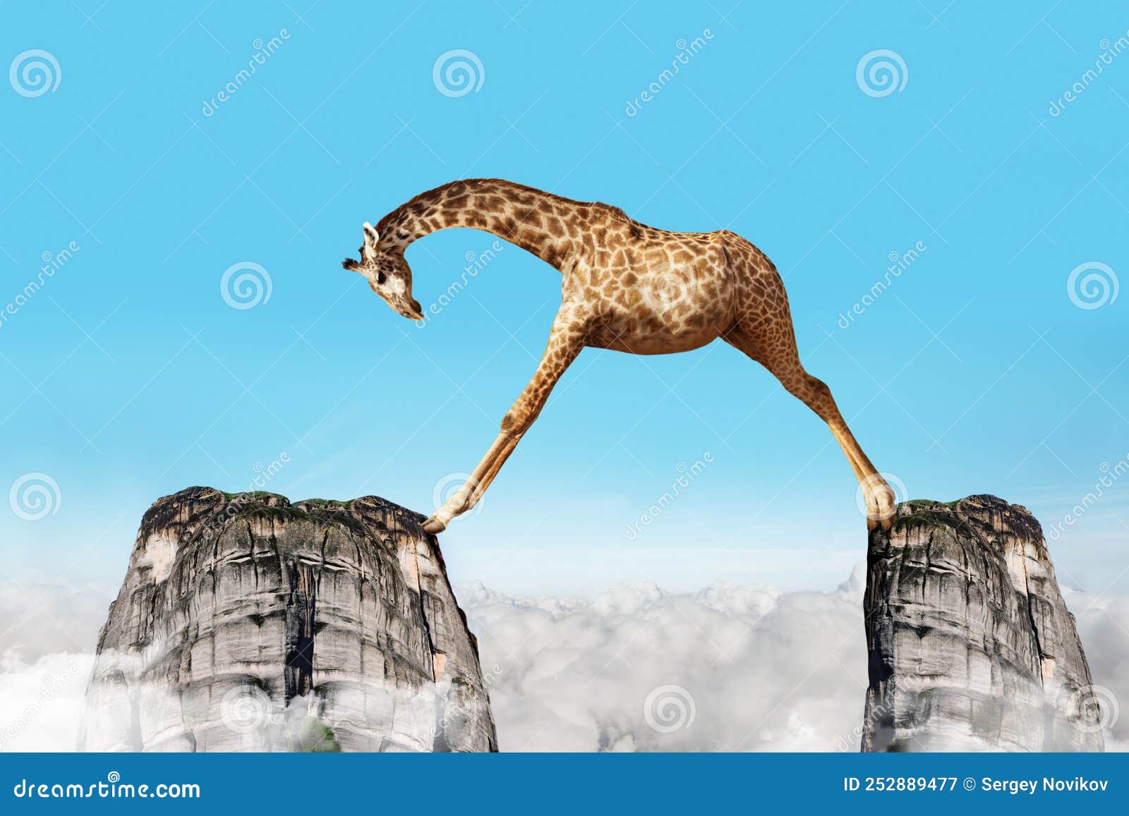 Concept of Giraffe with Long Legs Step Over Two Rocks Stock Image ...