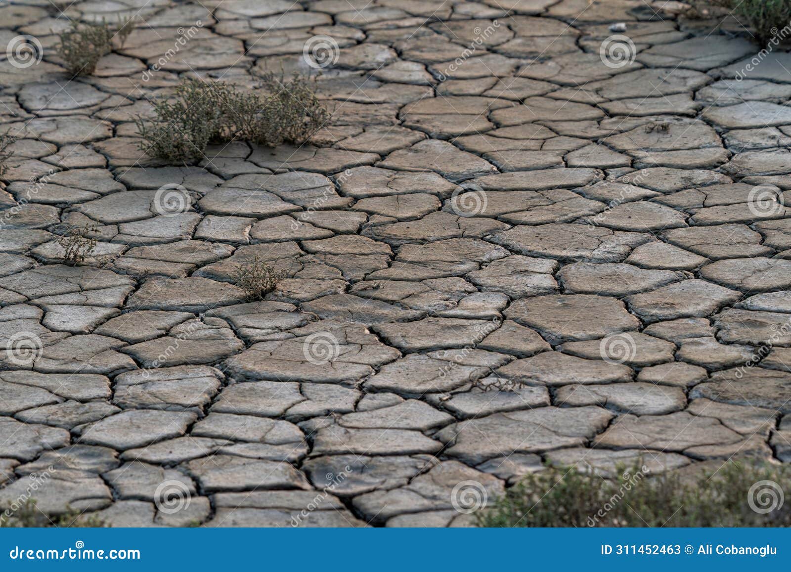 The Concept of Global Warming. Dry Cracks in the Land, Severe Water ...