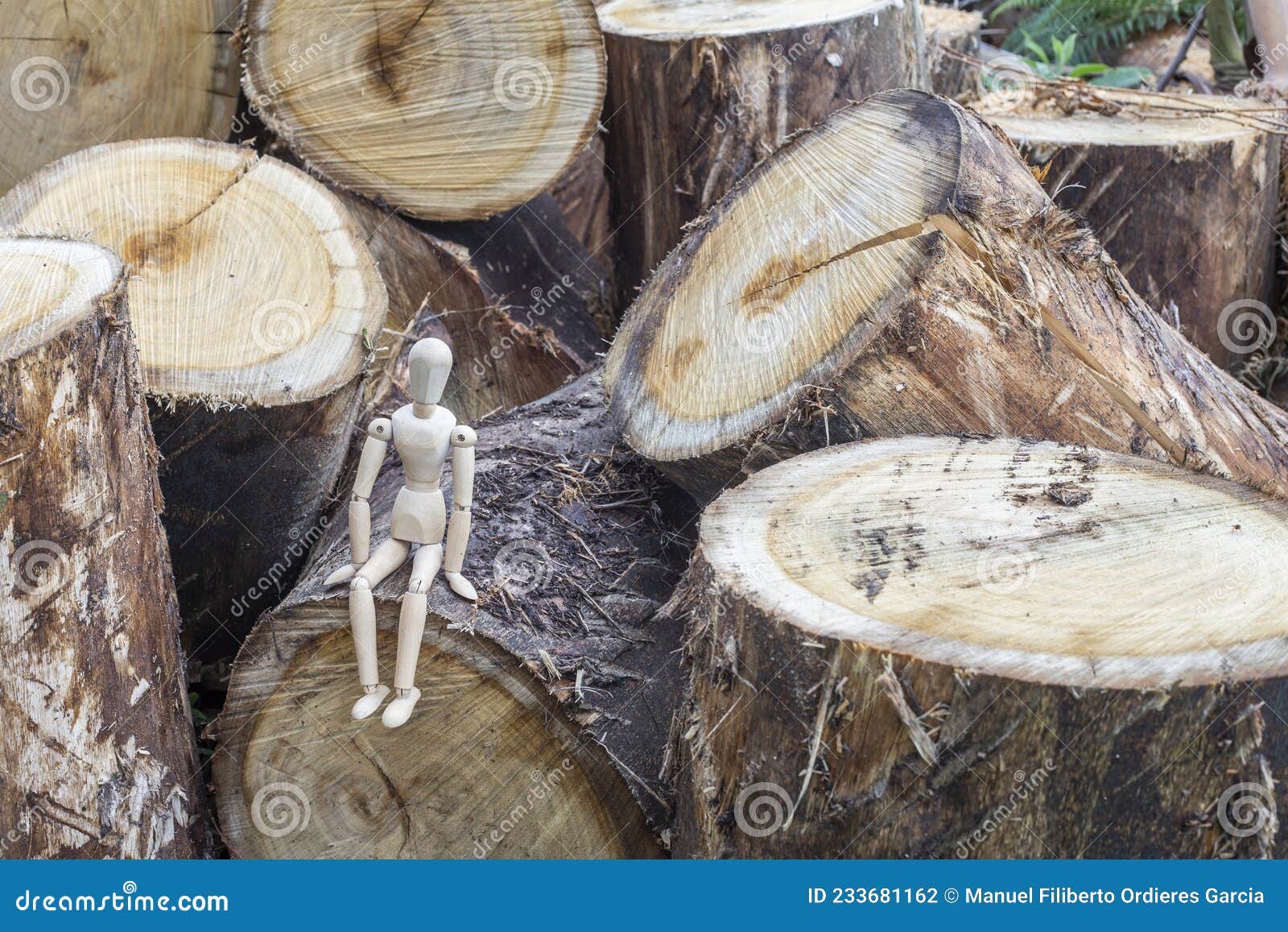 Concept of Global Warming Due To Deforestation of Forests. Horizontal ...
