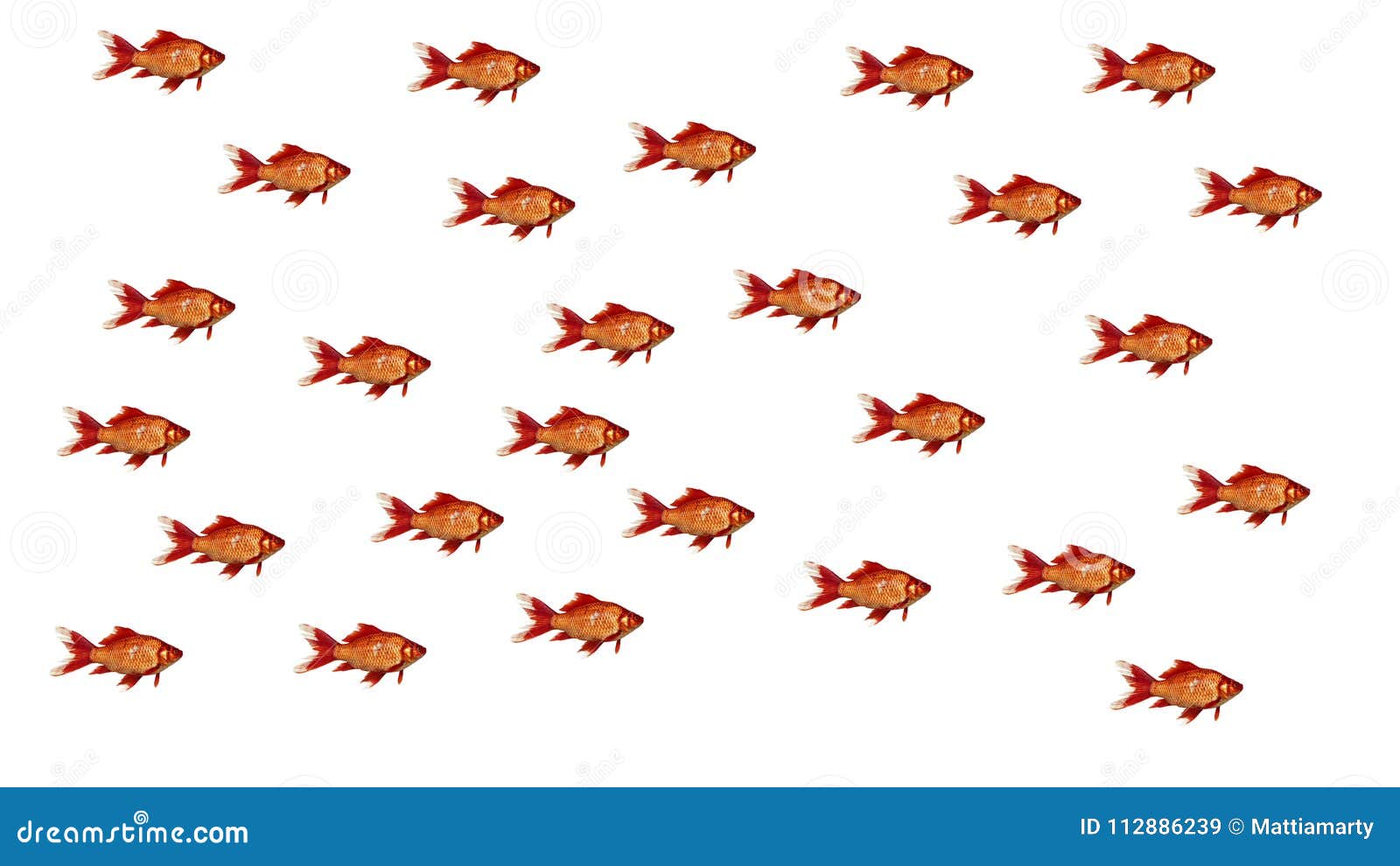 Concept Group - Fish Swim Together Stock Image - Image of view, help ...