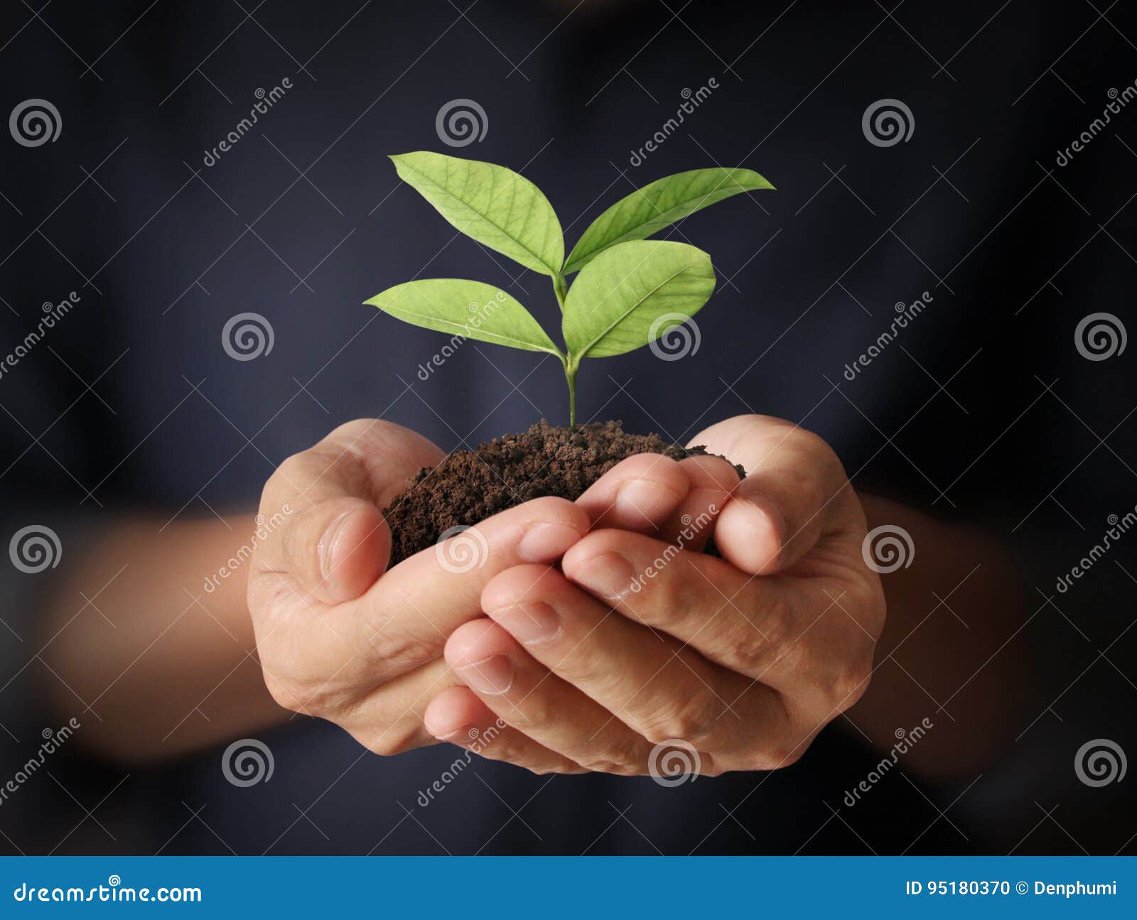Concept of Growing from Plant in Hand Stock Photo - Image of growth ...