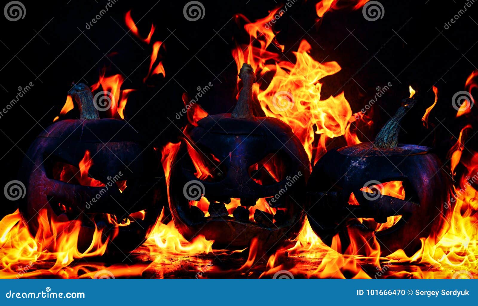 The Concept of Halloween. Tree Evil Terrible Pumpkins is Burning Stock ...