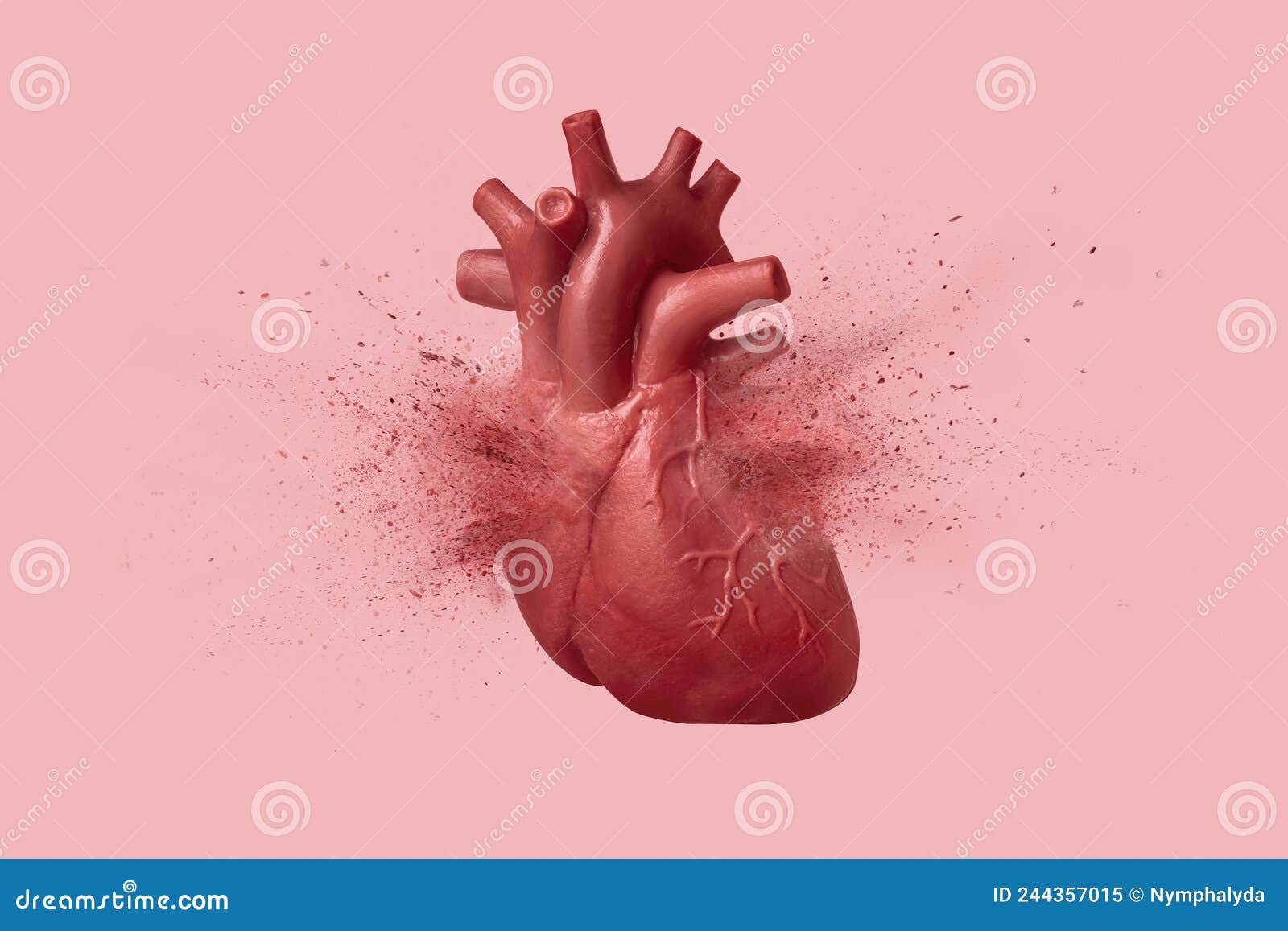The Concept of Heart Attack, an Exploding Human Heart Isolated on Pink ...