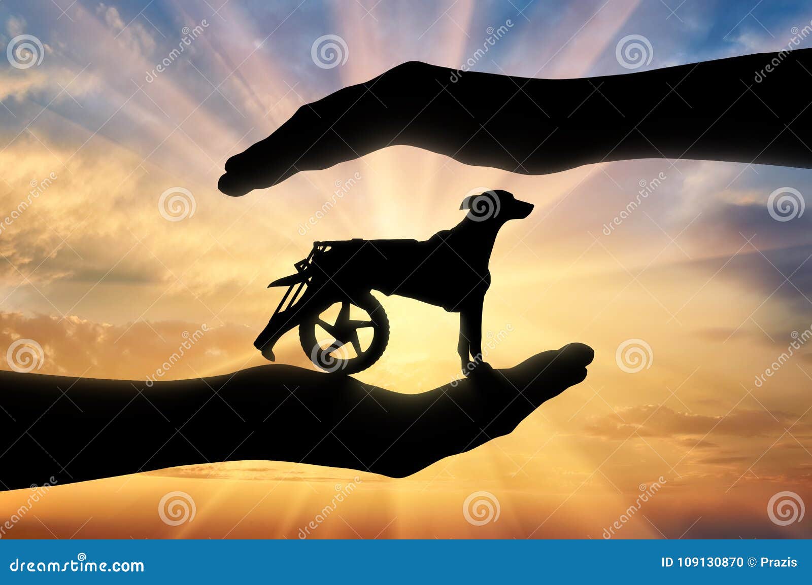 6,722 Caring Animals Stock Photos - Free & Royalty-Free Stock Photos ...