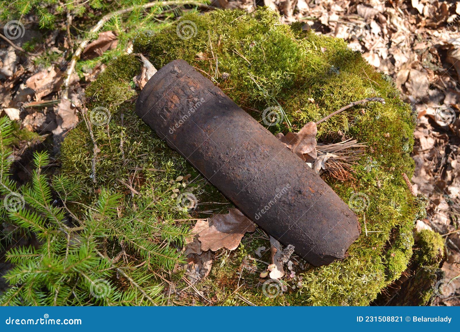 Concept of Historical Danger: Rusty Whizzbang High Explosive of the ...