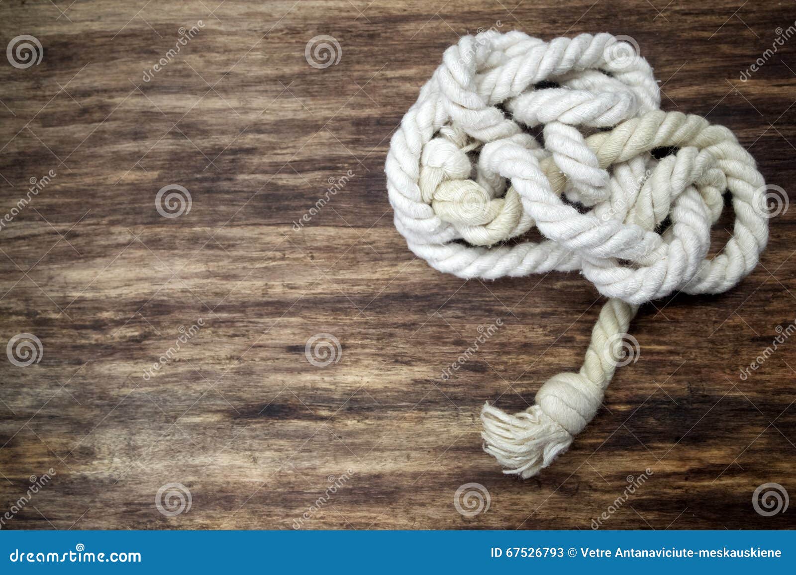 Concept of the Human Brain As a Twisted Rope Stock Image - Image of ...