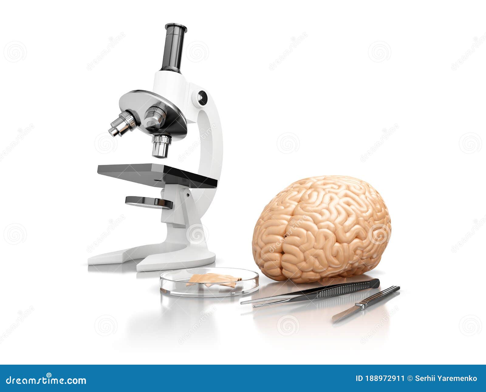 Brain research process. stock illustration. Illustration of analysis ...