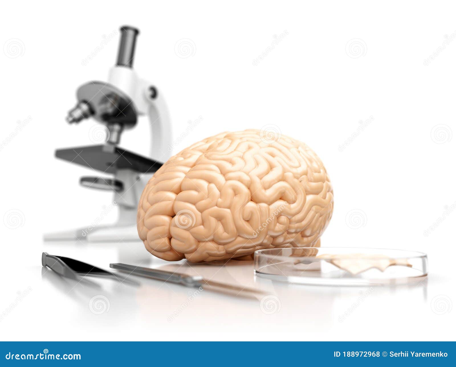 Brain research process. stock photo. Image of instruments - 188972968