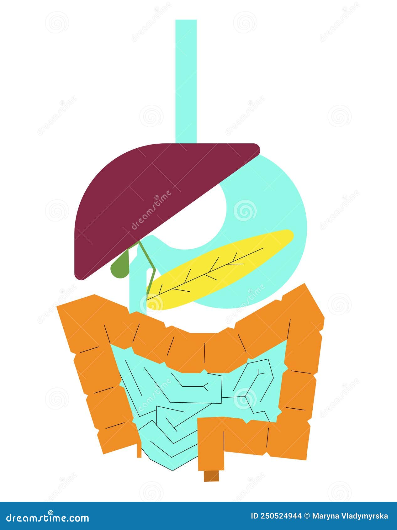 Digestive Abstract Banner - Stomach And Gears Cartoon Vector ...