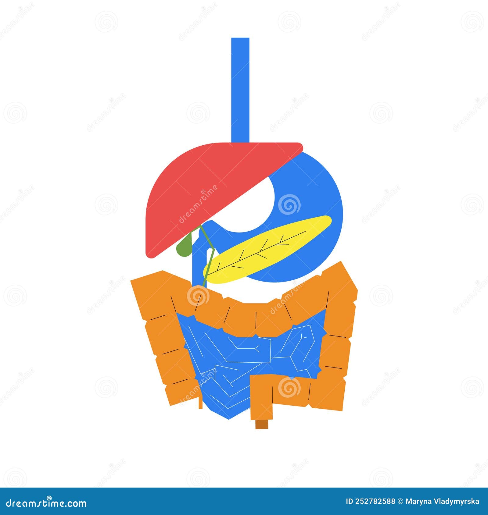 Concept of Human Digestive System Created of Abstract Shapes. Flat ...