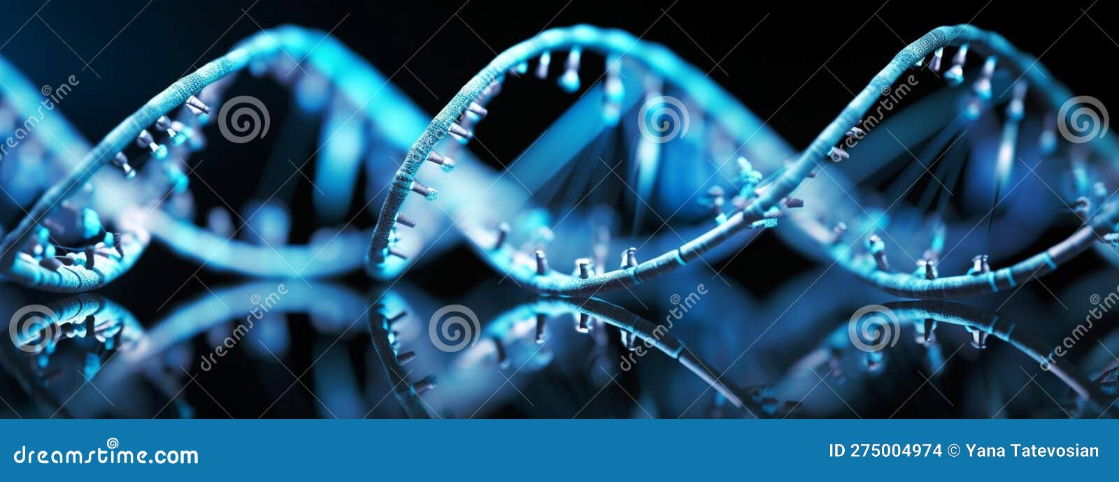 The Concept of Human DNA Evolution in the Distant Future. View Under a ...