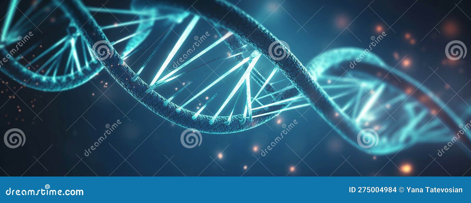 The Concept of Human DNA Evolution in the Distant Future. View Under a ...