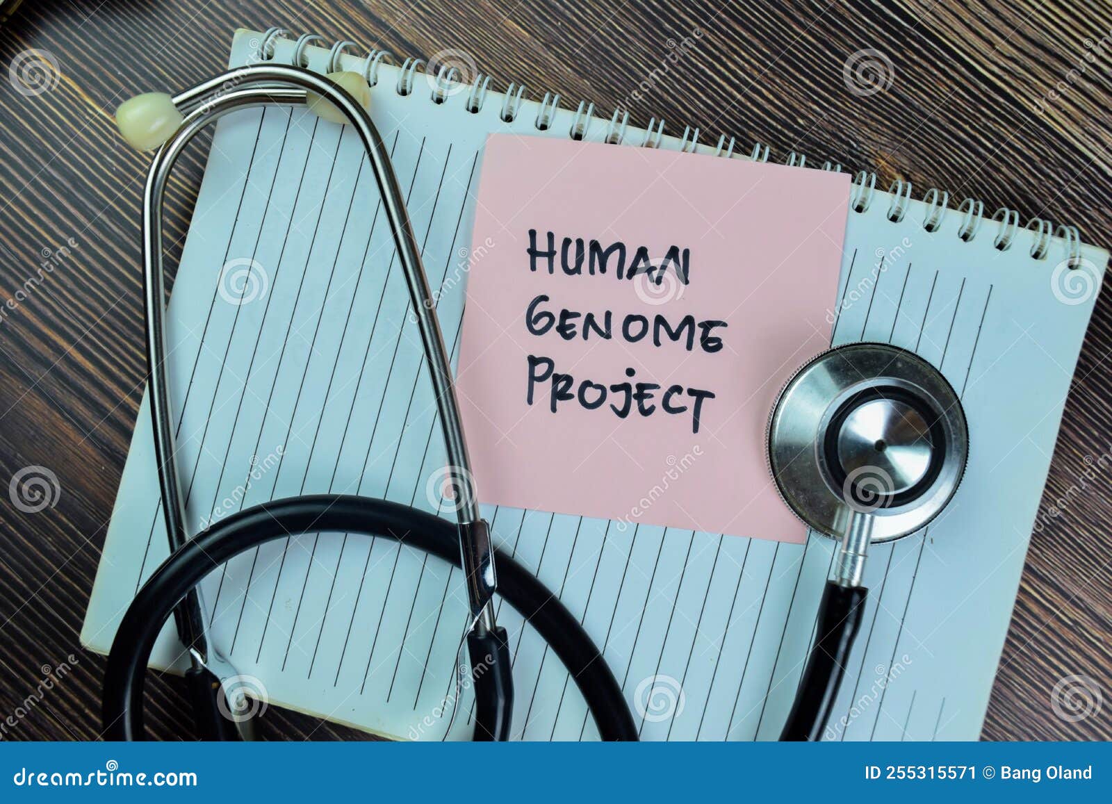 Concept of Human Genome Project Write on Sticky Notes Isolated on ...