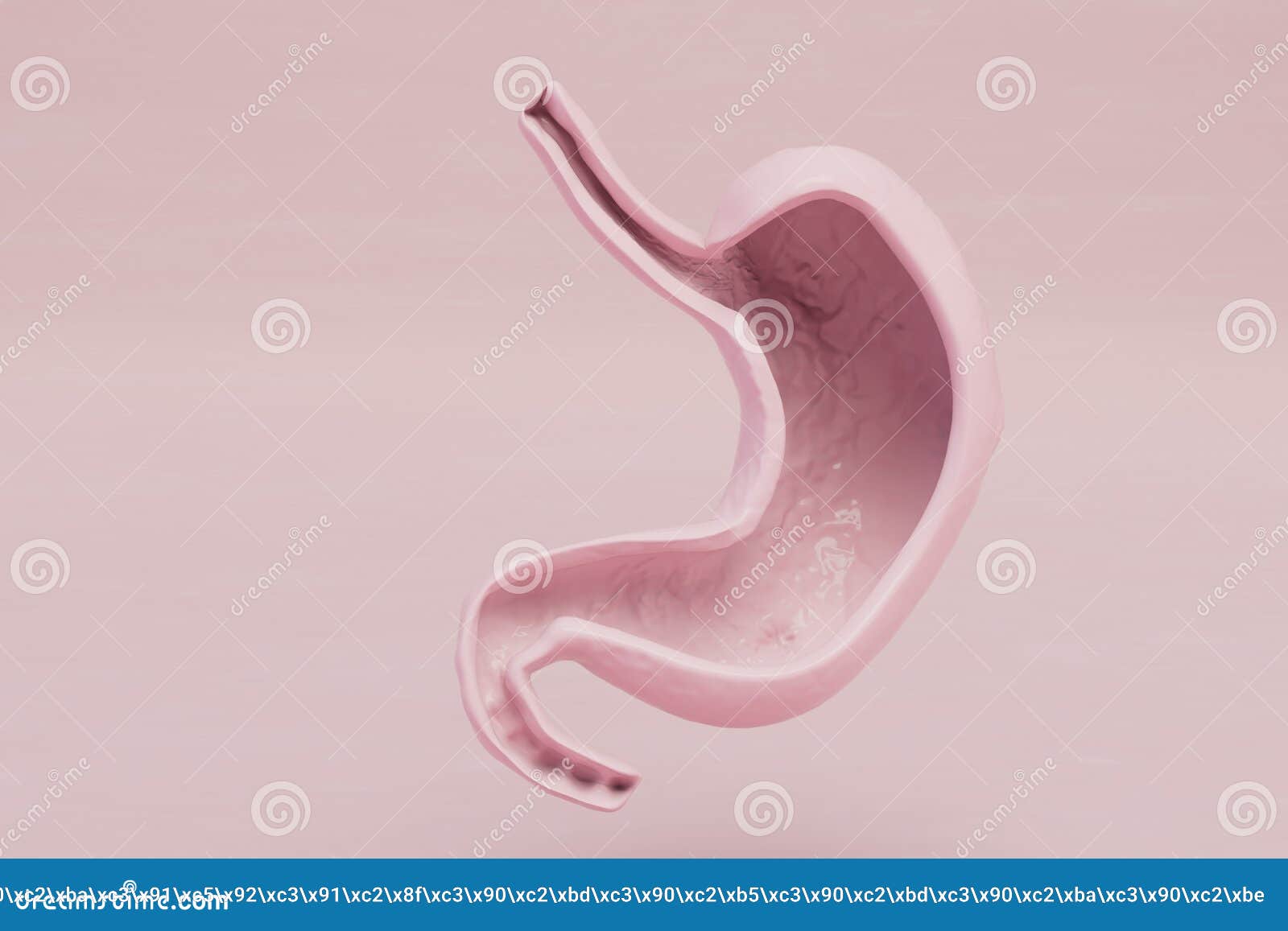 Empty Stomach. Heaviness Of Stomach, Bloating, Pain In The Alimentary ...