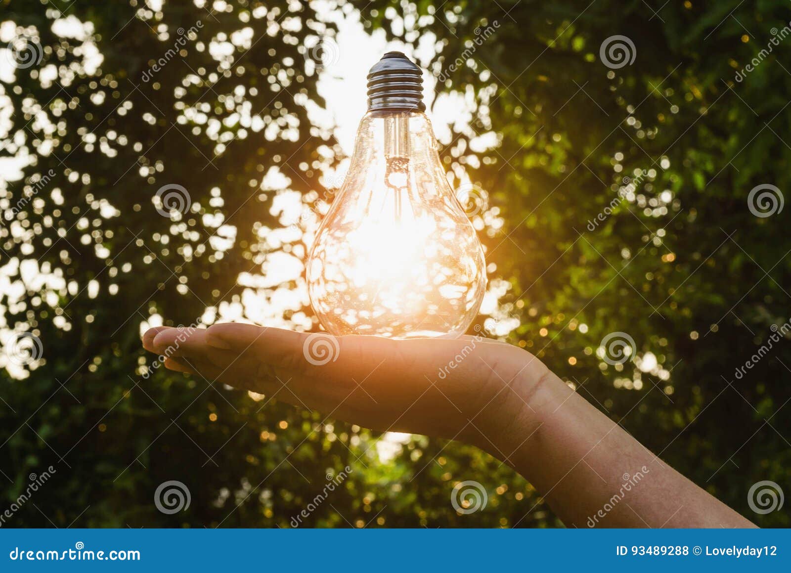 Concept Idea Hand Hold Light Bulb Solar Stock Photo - Image of energy ...