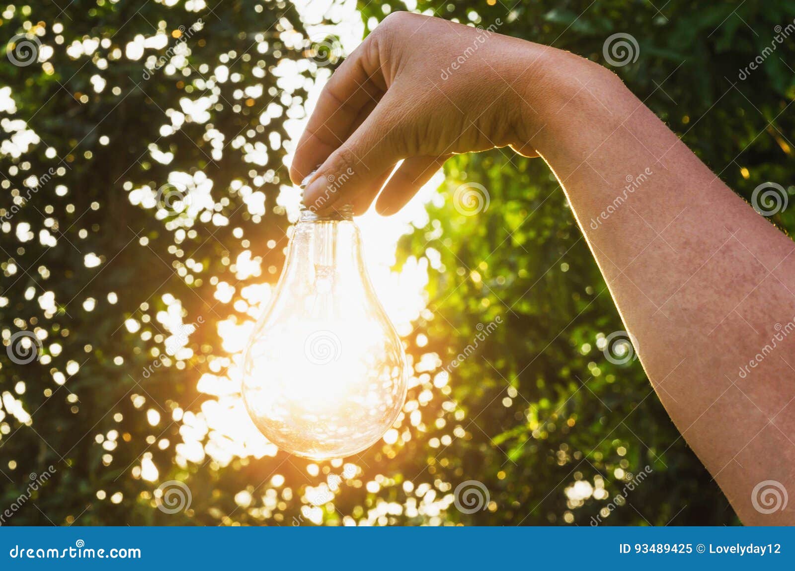 Concept Idea Hand Hold Light Bulb Solar Energy Stock Image - Image of ...