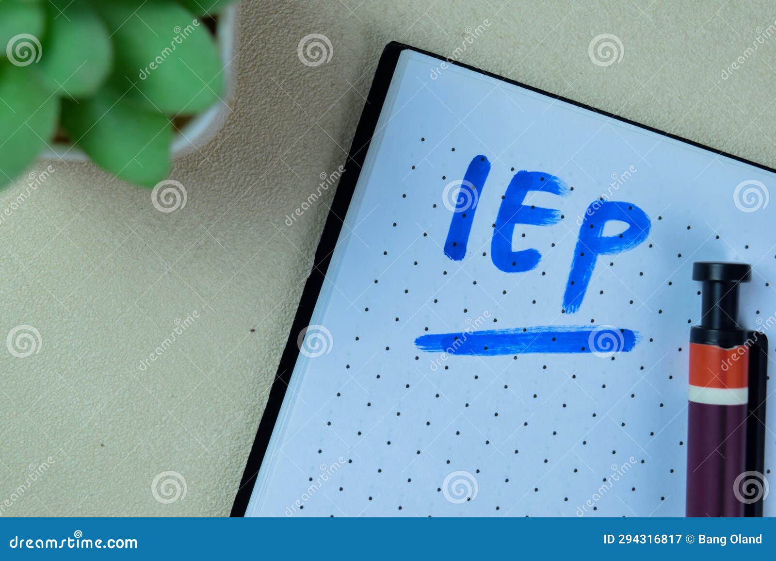 Concept of IEP Write on Book Isolated on Wooden Table Stock Image ...