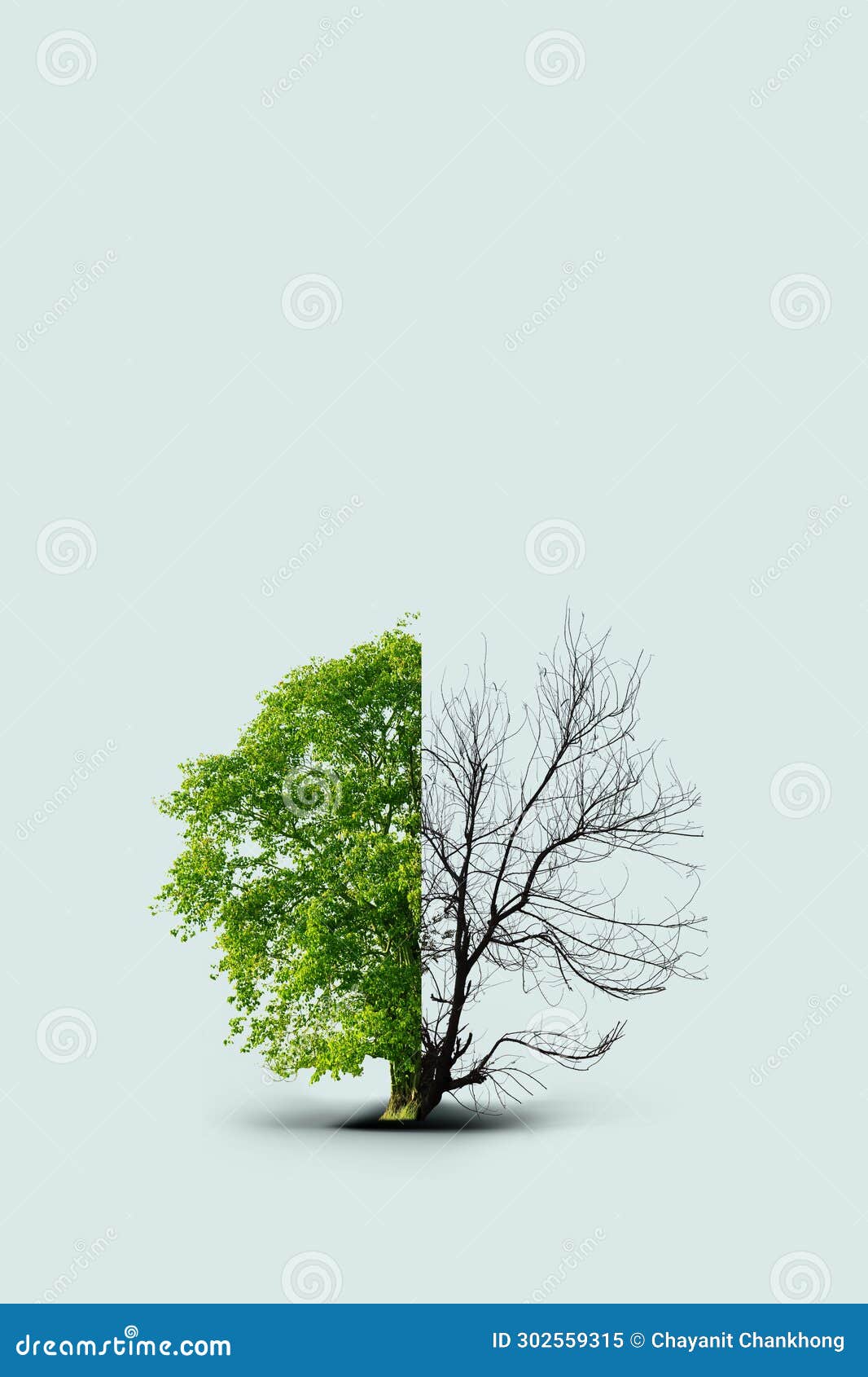 Environmental and Global Warming Concepts, Live and Dead. Climate ...