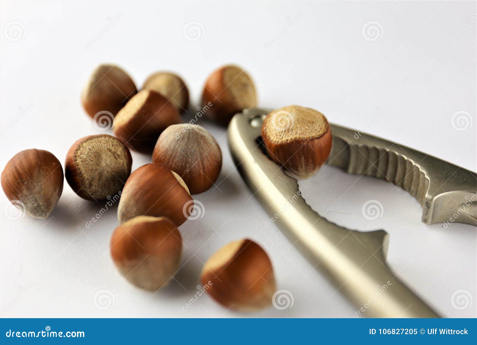 An Concept Image of a Nutcracker - Nuts, Food Stock Image - Image of ...