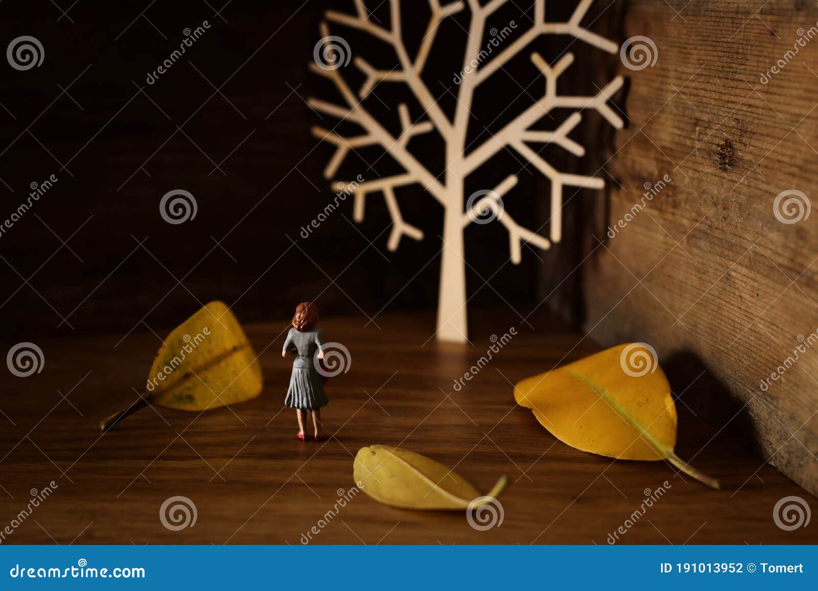 Concept Image of Person Arriving To Dead End Looking at Surreal Tree ...