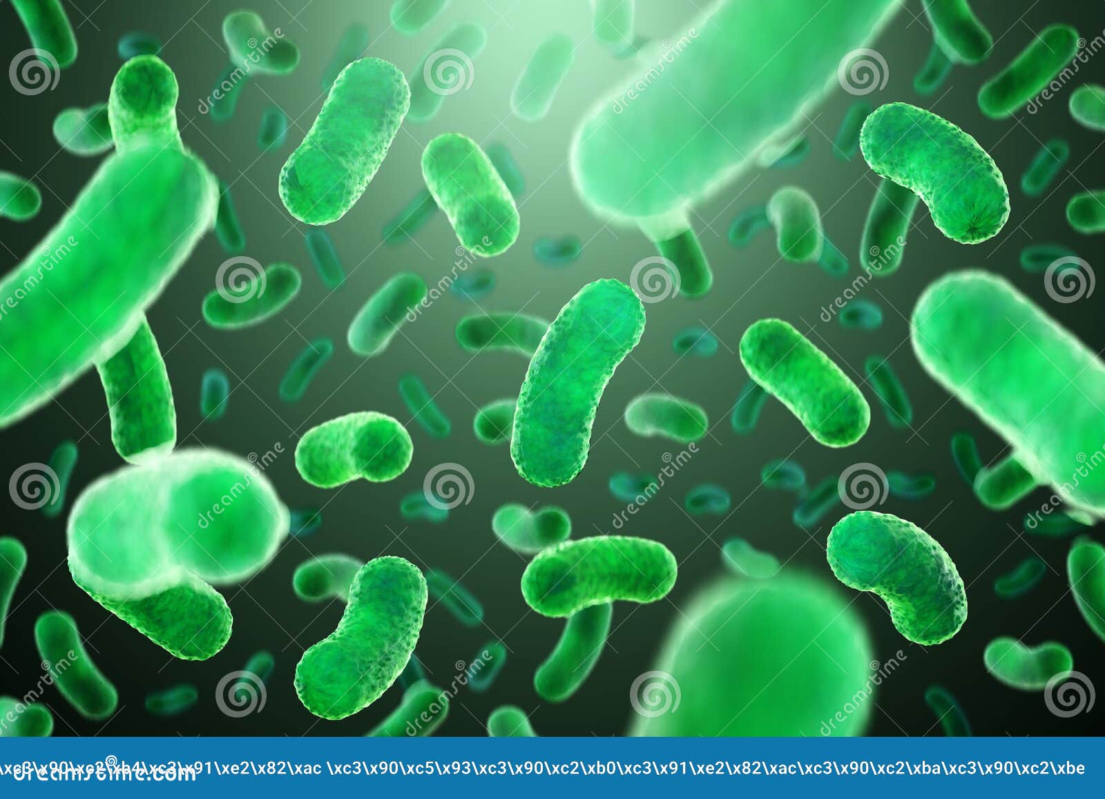 Concept Infectious Agents, Bacteria, Bacilli, E. Coli, Part of the Gut ...