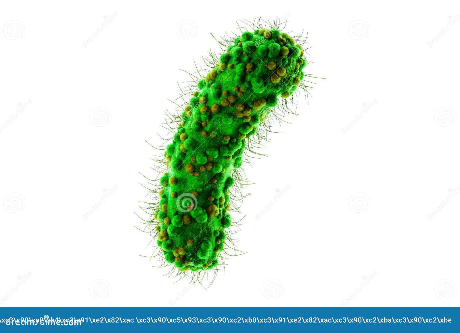 Concept Infectious Agents, Bacteria, Bacilli, E. Coli, Part of the Gut ...