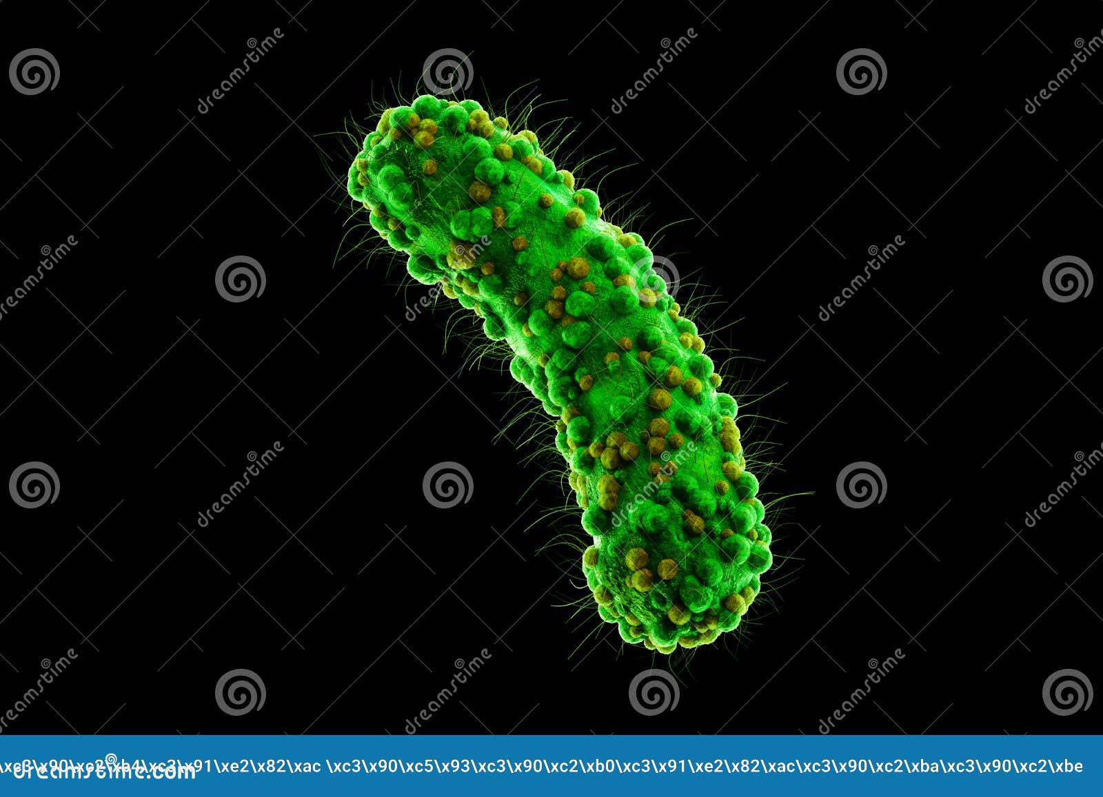 Concept Infectious Agents, Bacteria, Bacilli, E. Coli, Part Of The Gut ...