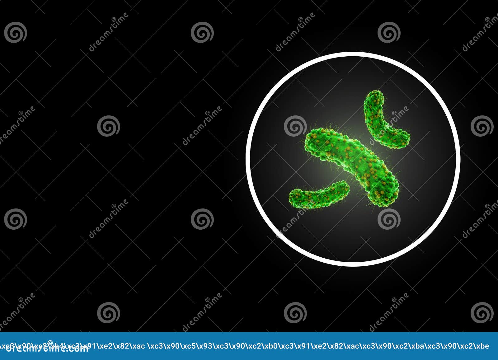 Concept Infectious Agents, Bacteria, Bacilli, E. Coli, Part of the Gut ...