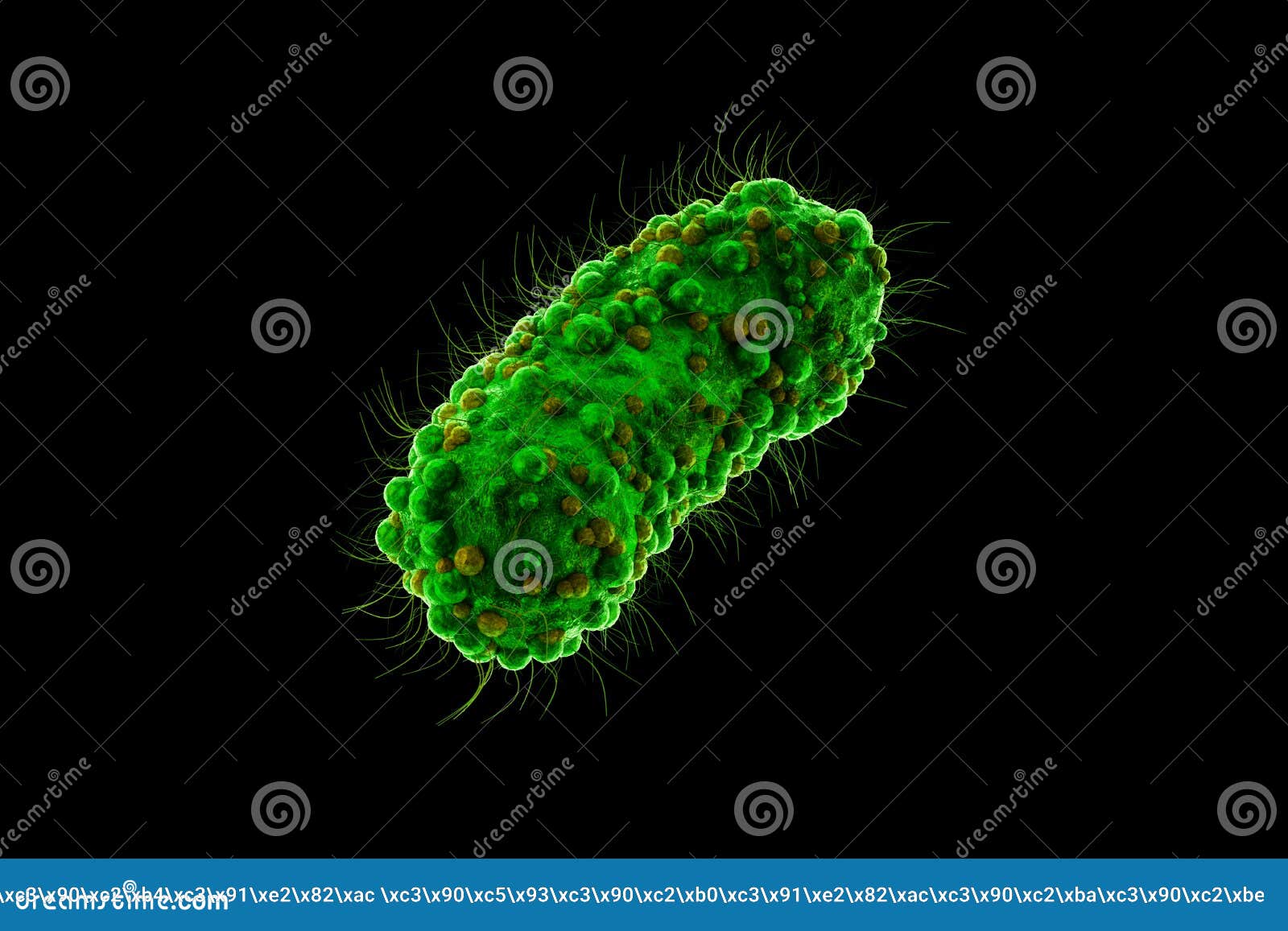 Concept Infectious Agents, Bacteria, Bacilli, E. Coli, Part of the Gut ...