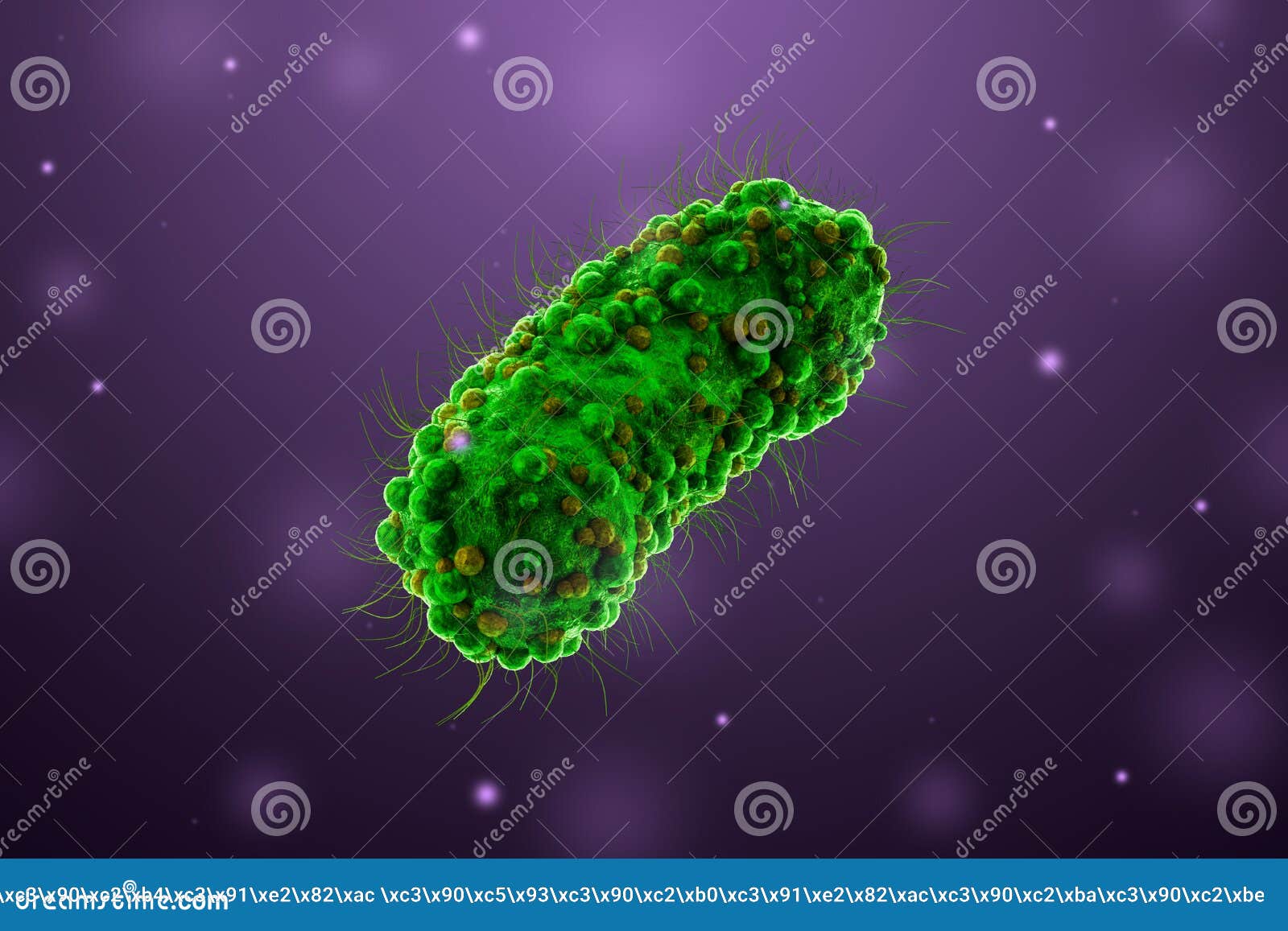 Concept Infectious Agents, Bacteria, Bacilli, E. Coli, Part of the Gut ...