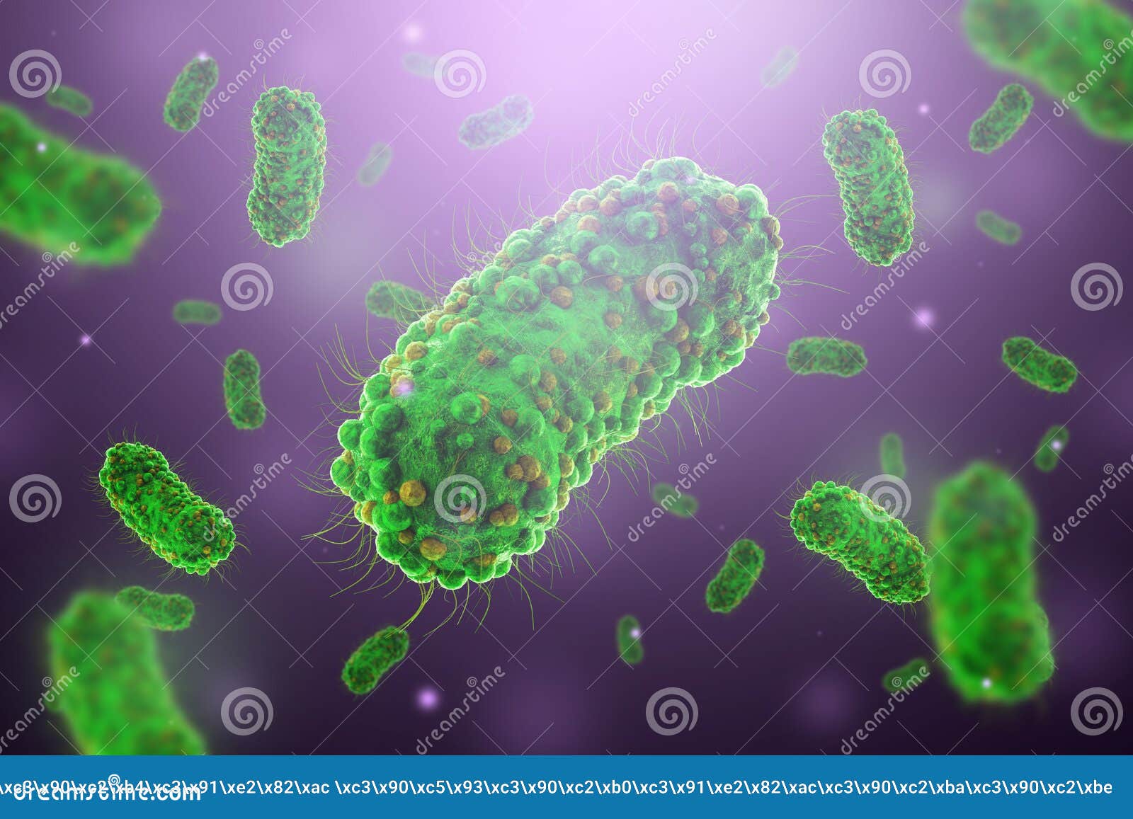 Concept Infectious Agents, Bacteria, Bacilli, E. Coli, Part of the Gut ...