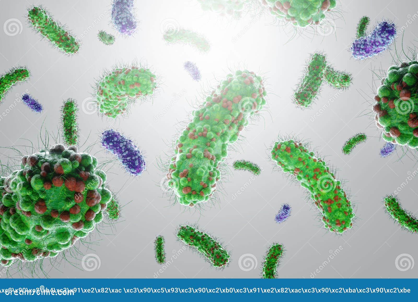 Concept Infectious Agents, Bacteria, Bacilli, E. Coli, Part of the Gut ...