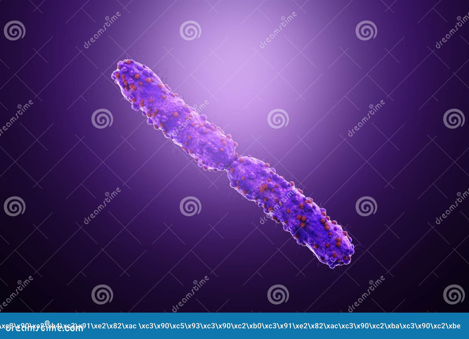 Concept Infectious Agents, Bacteria, Bacilli, E. Coli, Part of the Gut ...