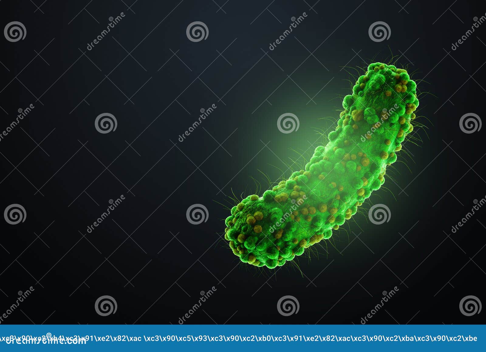 Concept Infectious Agents, Bacteria, Bacilli, E. Coli, Part of the Gut ...