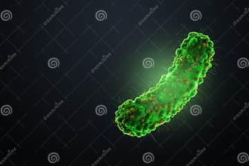Concept Infectious Agents, Bacteria, Bacilli, E. Coli, Part of the Gut ...