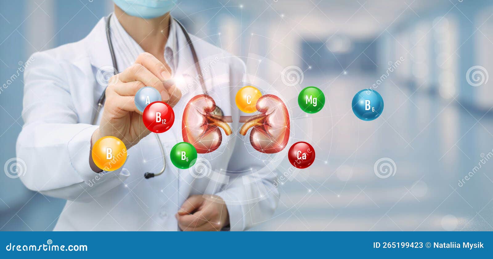Concept of Kidney Support and Treatment with Vitamins Stock Image ...