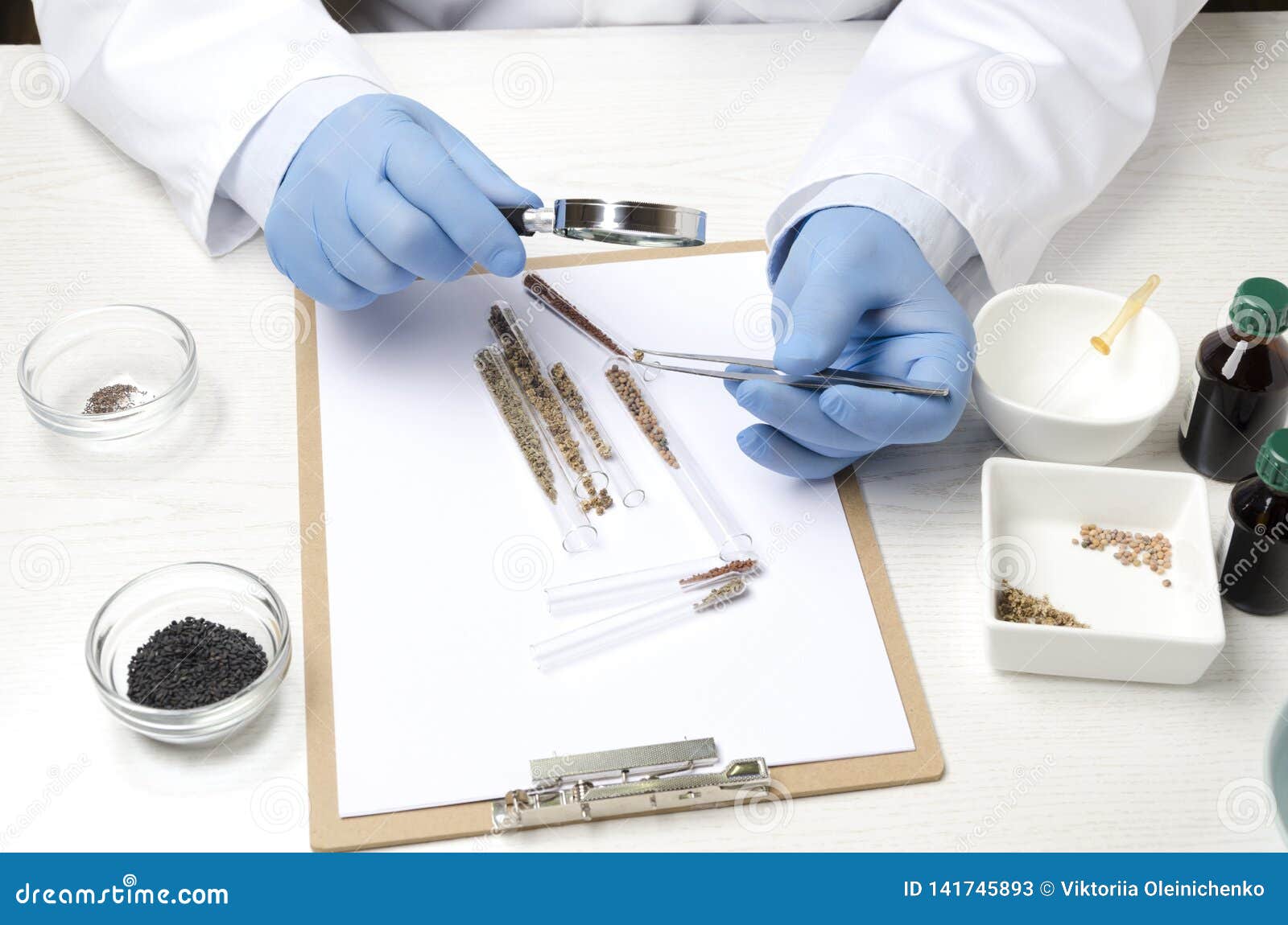 Concept of Laboratory Researching, Cheking Quality of Seeds.Working ...