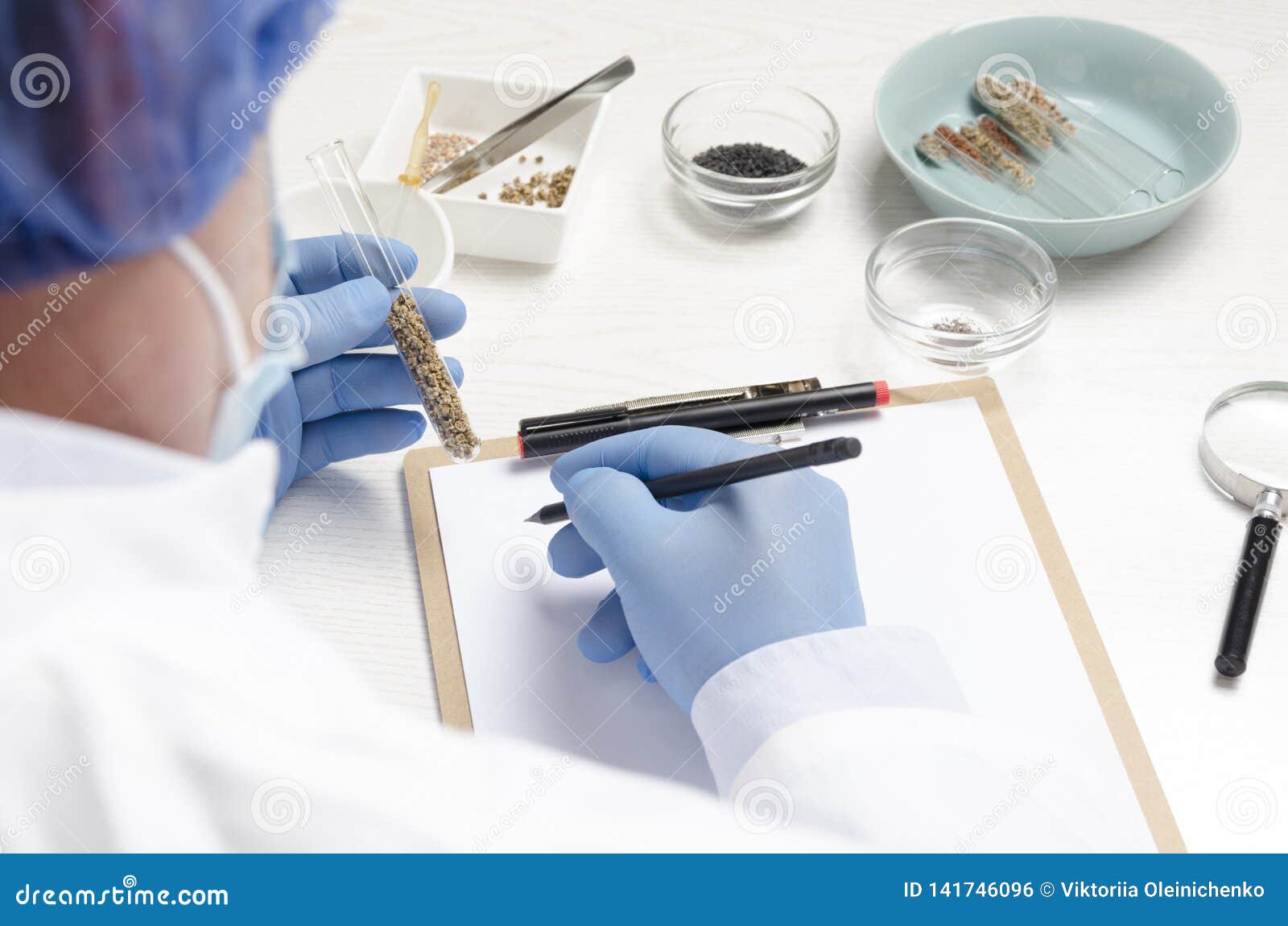 Concept of Laboraty and Testing New Seeds.Man As a Professional ...