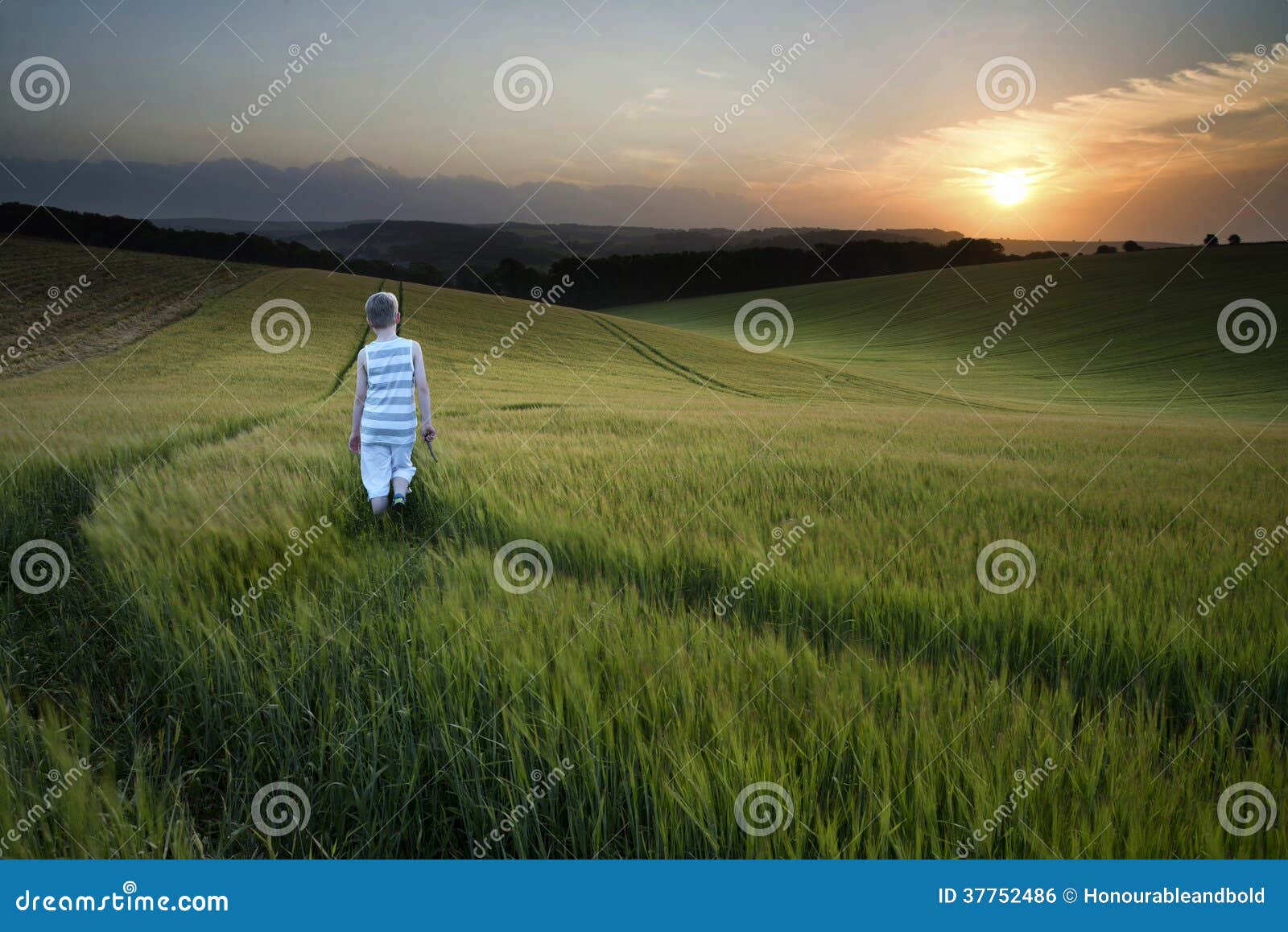 Concept Landscape Young Boy Walking through Field at Sunset in S Stock ...