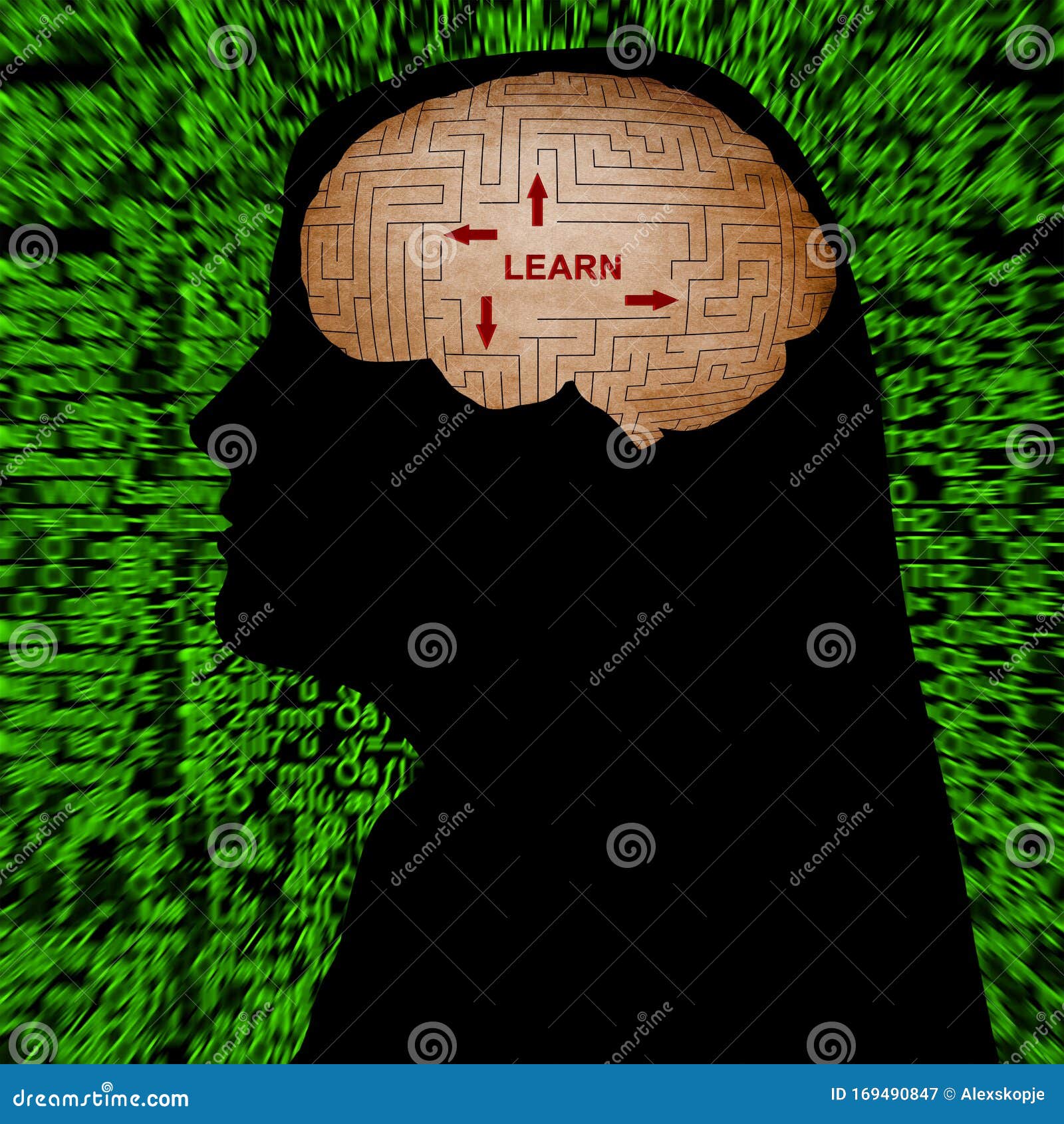 Learning in mind stock image. Image of intelligence - 169490847