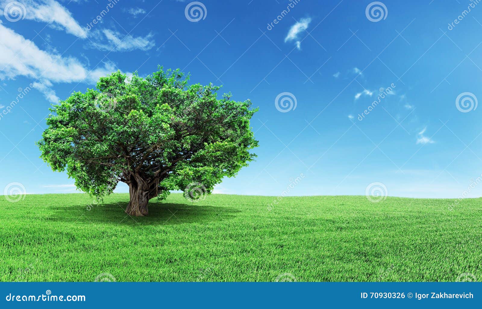 Concept of Life. Big Alone Tree in the Field Stock Photo - Image of ...