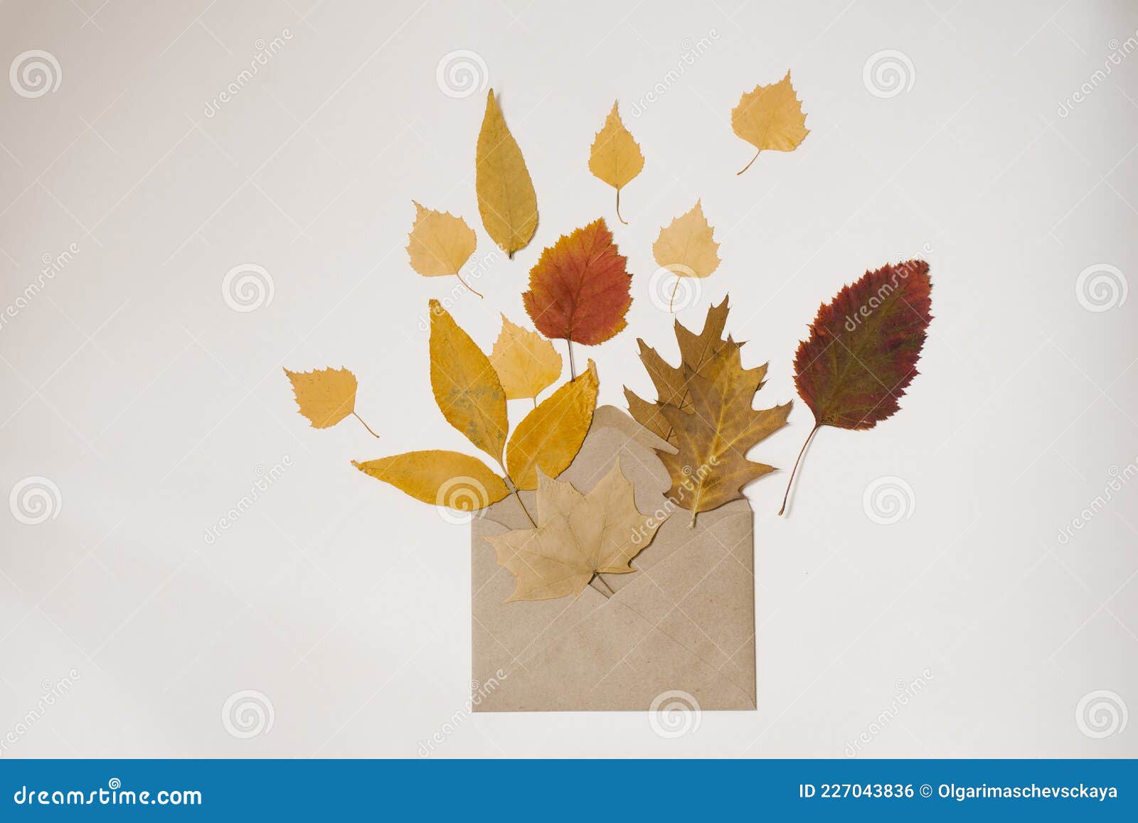 The Concept of Mail - Dry Fallen Autumn Leaves of Trees with an ...