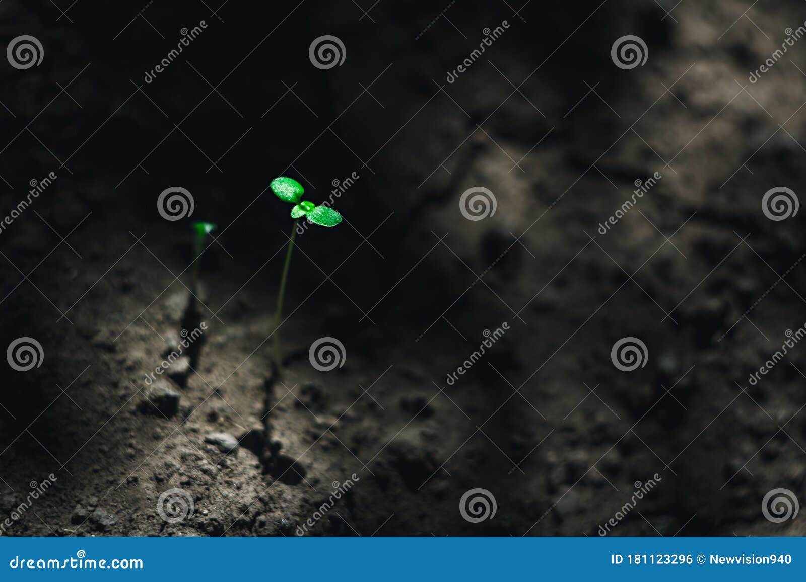 The Concept of Mars Colonization the First Plant To Sprout from Alien ...