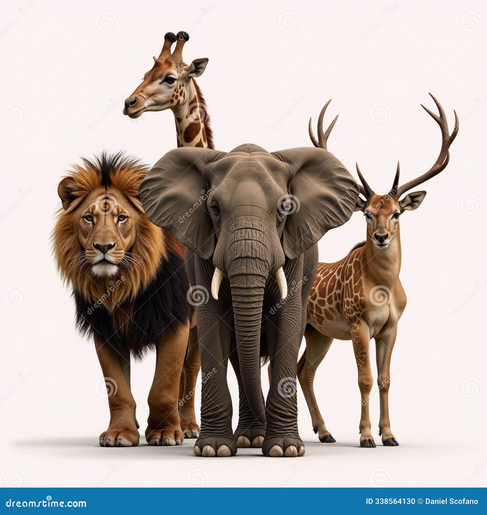 Modern Illustration Showcases an Elephant Lion Giraffe and Deer in a ...