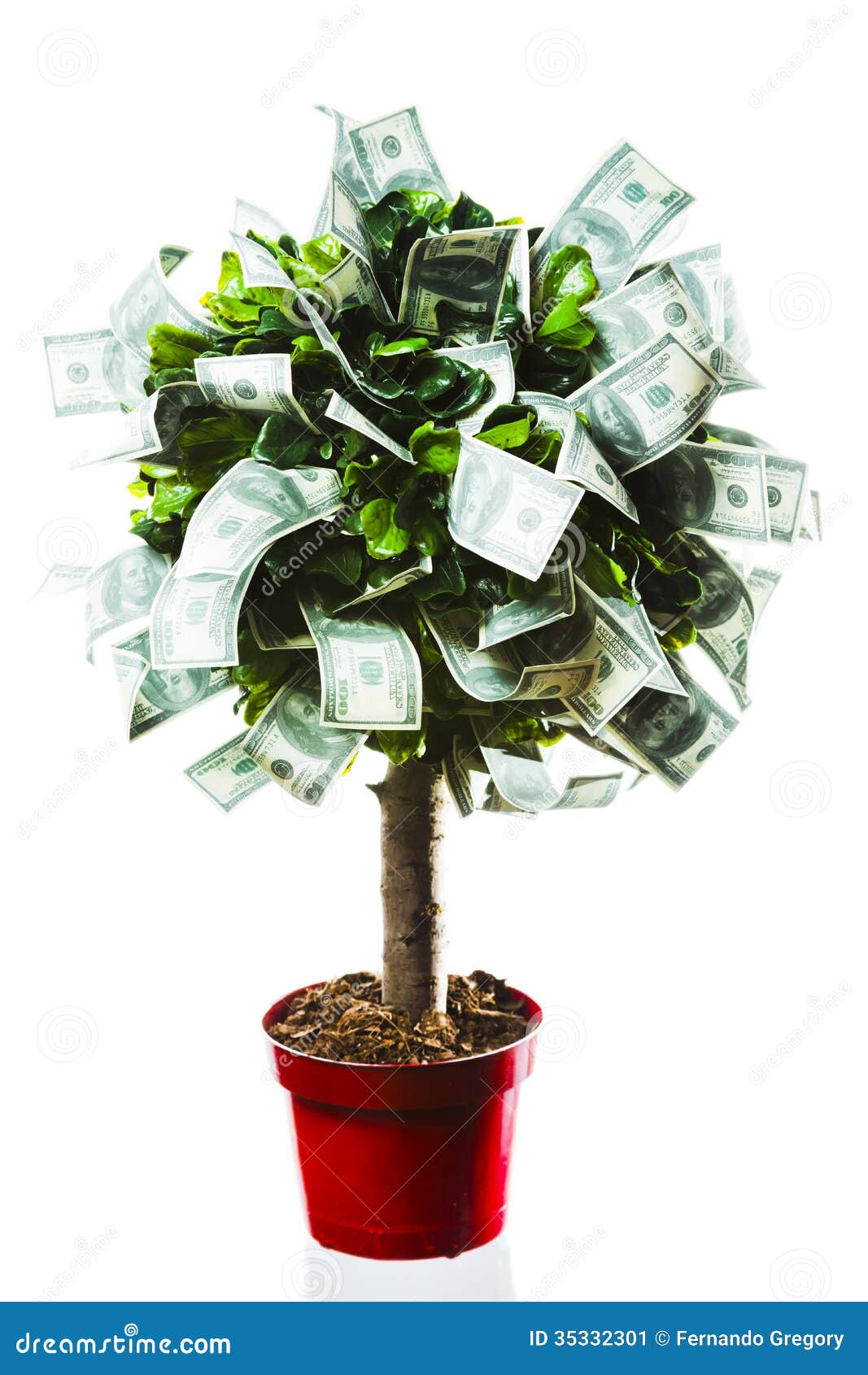 Concept, Money Tree on Grass Isolated Stock Image - Image of decoration ...