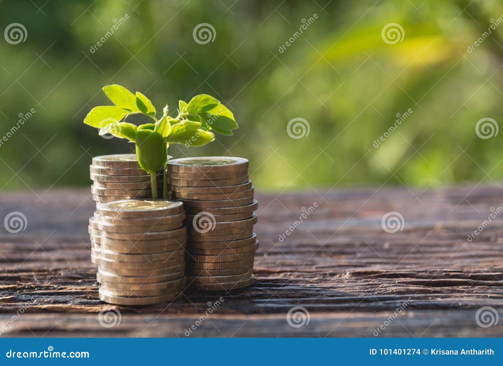 Concept of Money Tree Growing from Money. Financial and Saving Stock ...