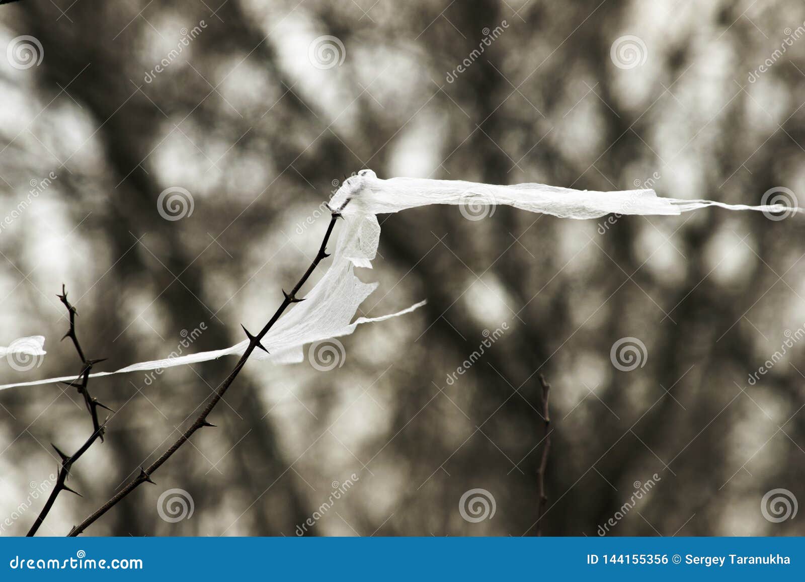 Concept - Nature Conservation and Plastic Rejection, Environmental ...